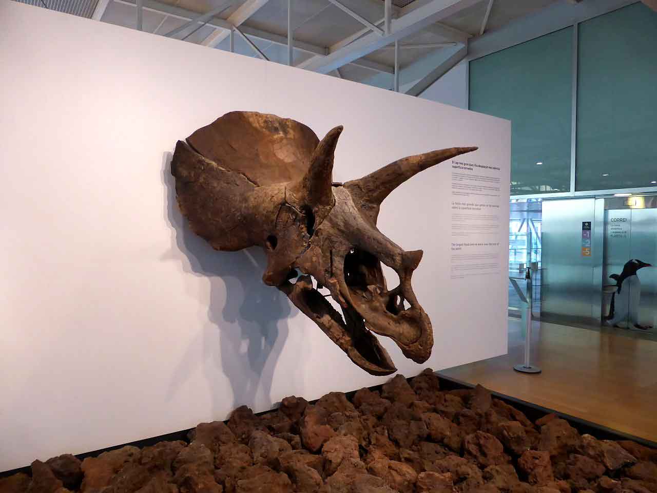 CosmoCaixa - Musée des sciences : Visite, Prix, Horaires et Informations