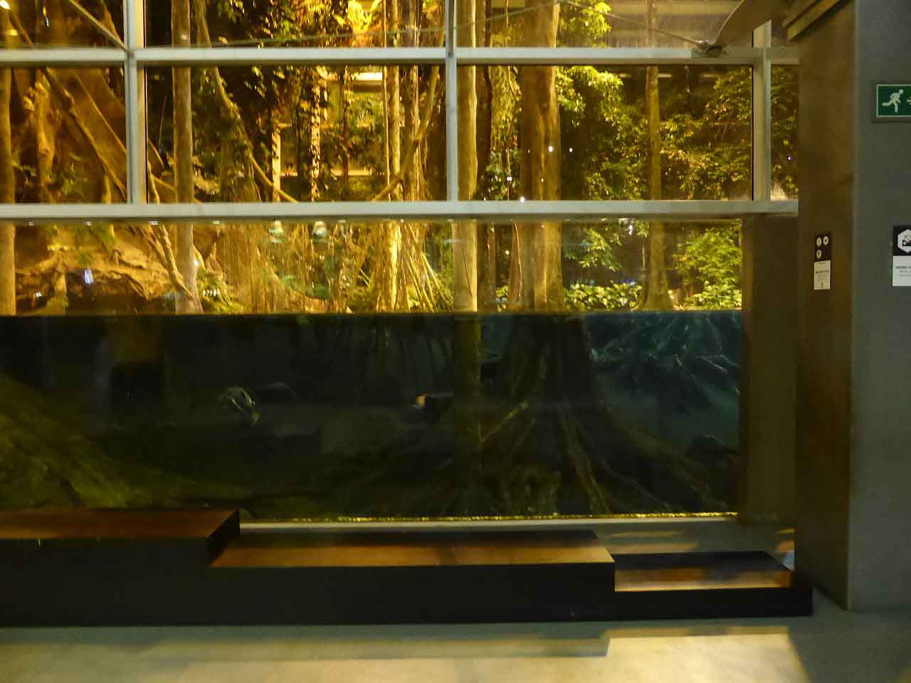 CosmoCaixa - Musée des sciences : Visite, Prix, Horaires et Informations