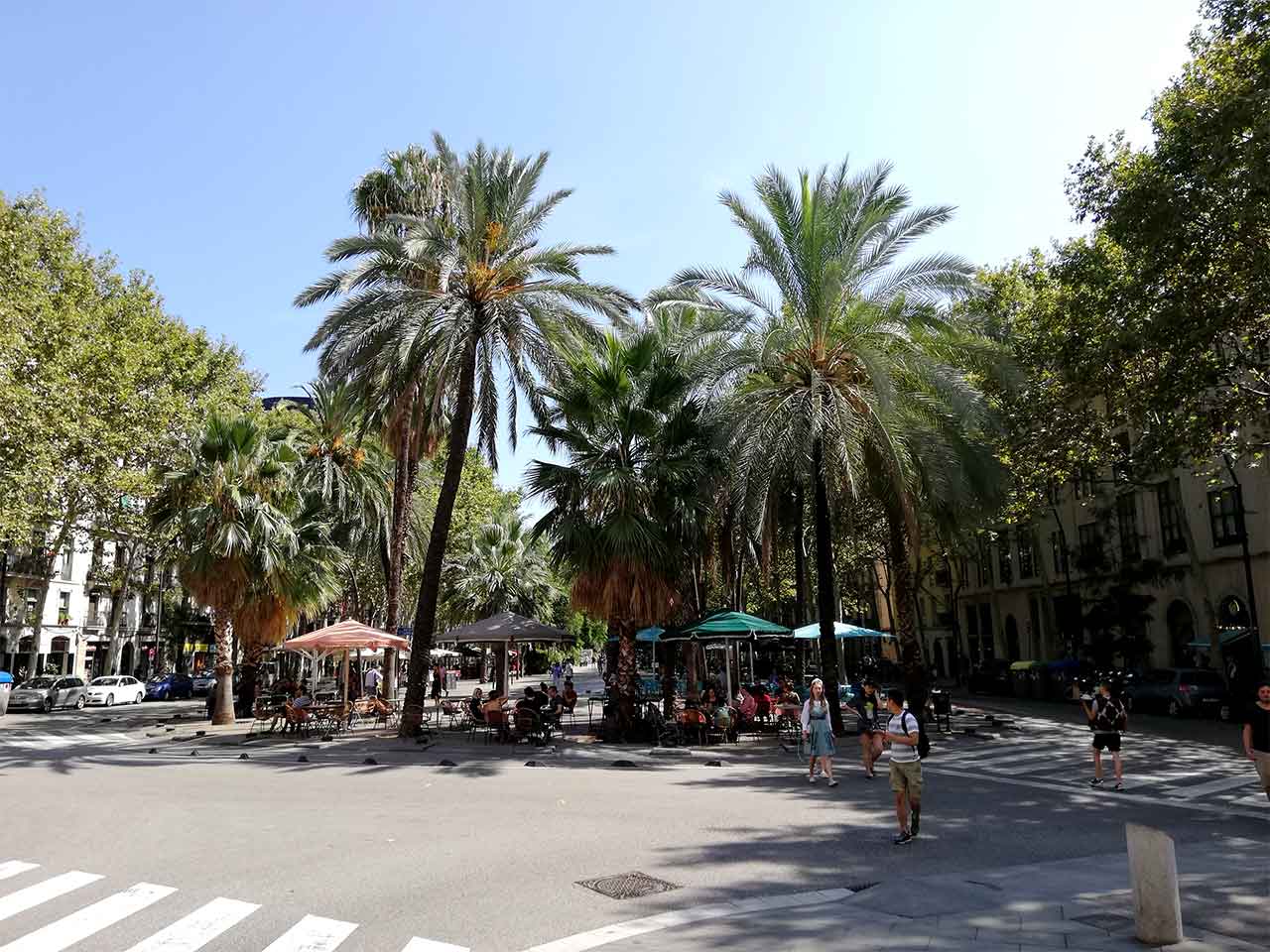 Bar Marsella 1820 : un bar emblématique du Raval